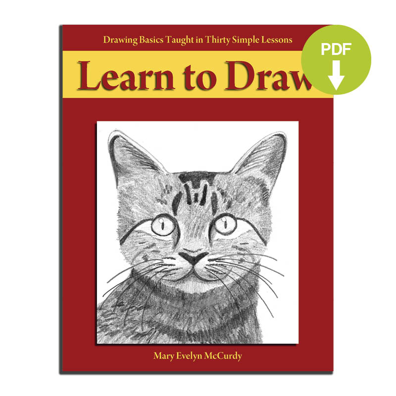 Learn to Draw Ebook (Download) | Notgrass History