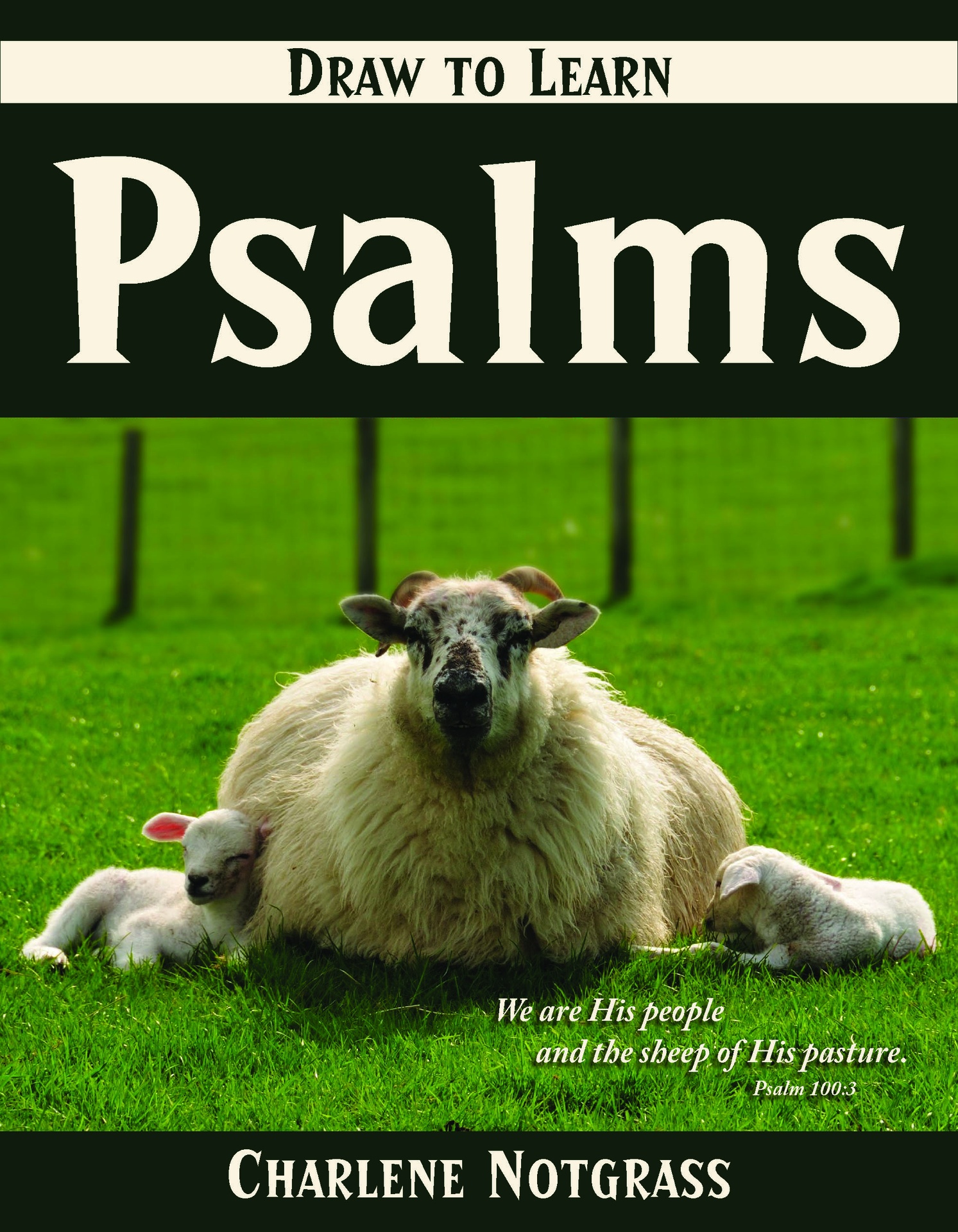 Draw to Learn Psalms | Notgrass History